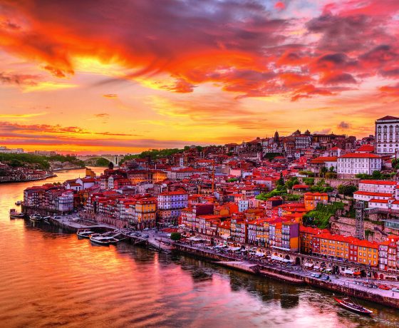 Fly 4 Travel * Agentie de Turism