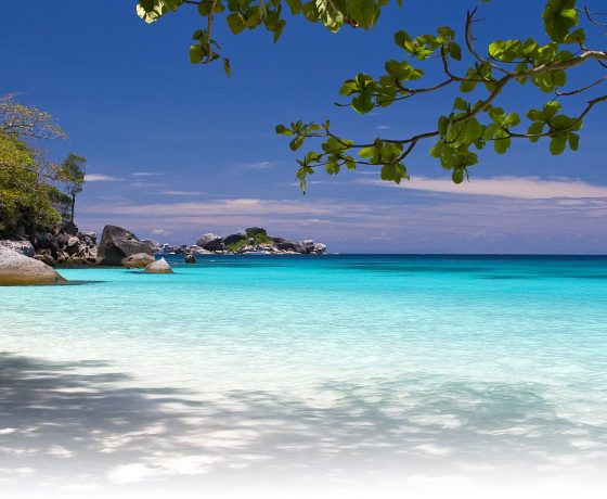 Fly 4 Travel * Agentie de Turism