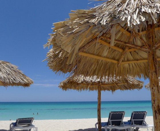 Fly 4 Travel * Agentie de Turism